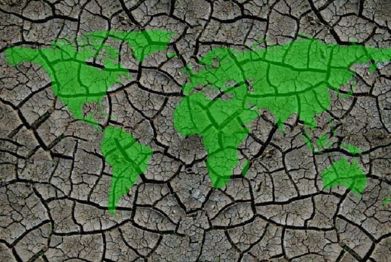 10 Easy Tips for Driving Green - Car Pro